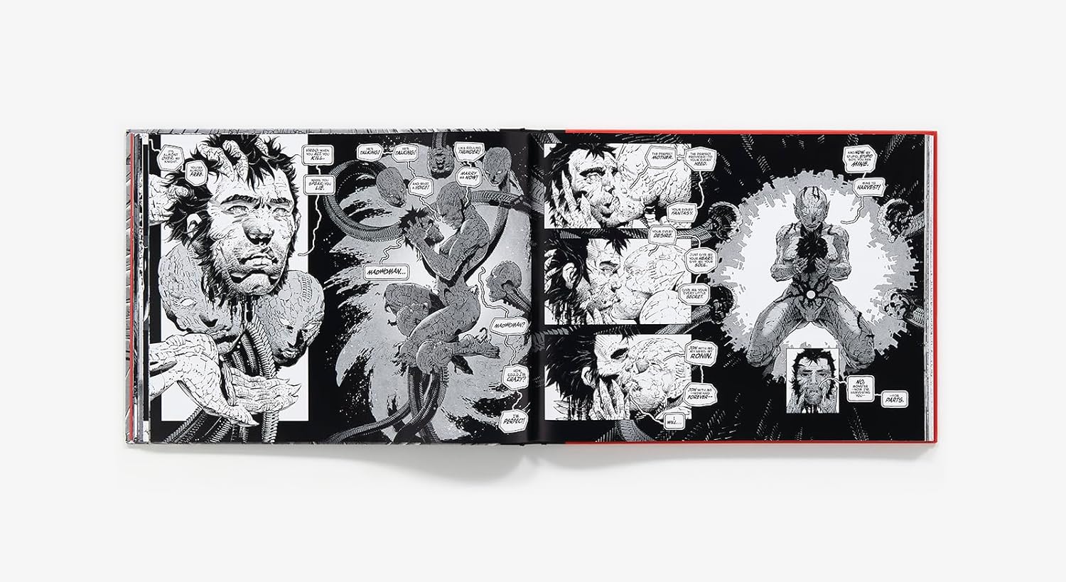 Frank Miller's HC - Ronin Rising collector's edition